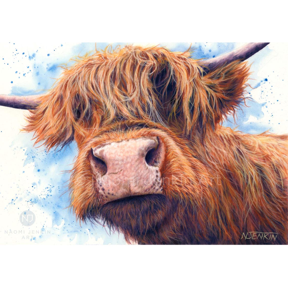Highland Cow Art Print - A4 Limited Edition Giclée Print - Etsy
