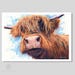 Highland Cow Art Print - A4 Limited Edition Giclée Print - Etsy