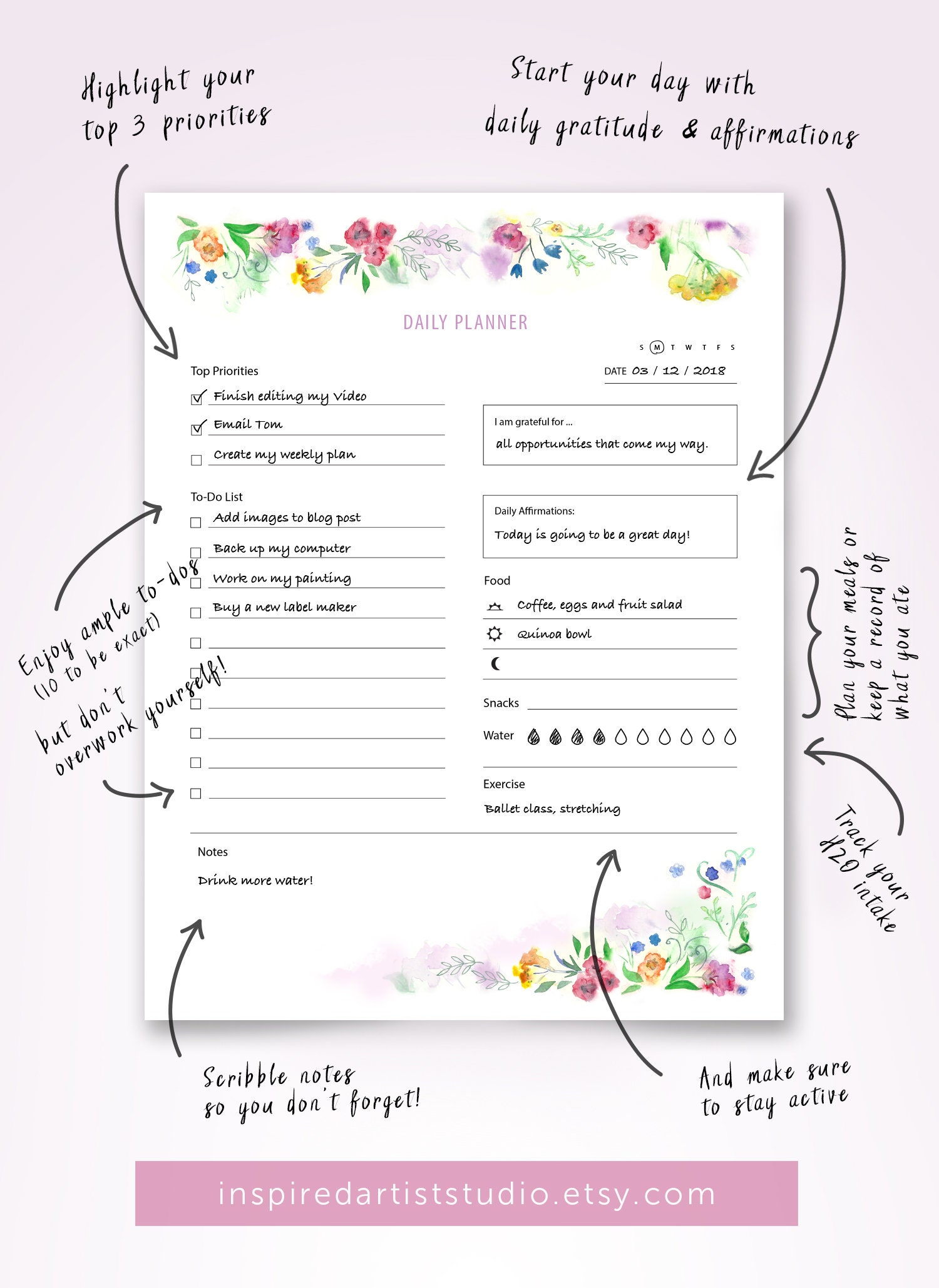 PRINTABLE DAILY PLANNER, to Do List, Editable Planer, Gratitude, Daily ...