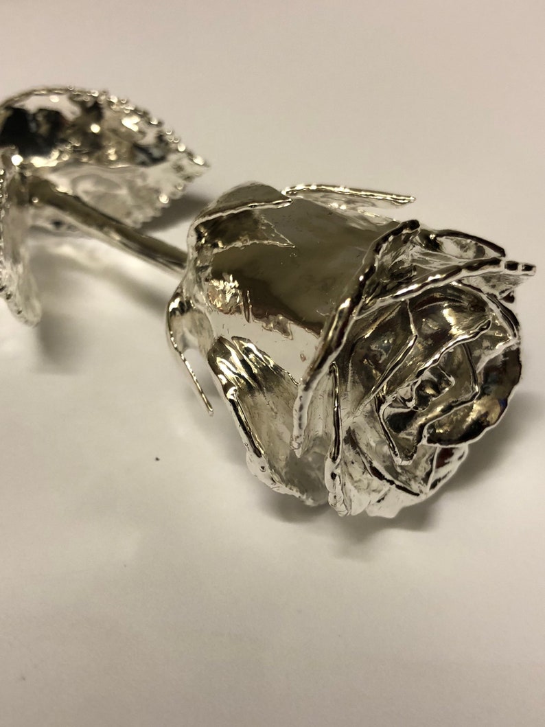 100% Real Rose, Silver Dipped, 7, 25th Anniversary, Birthday, Weddiing ...