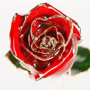 100% Real Rose, 24K Gold Plated red 11.5 Gift Box, Anniversary, Wedding ...