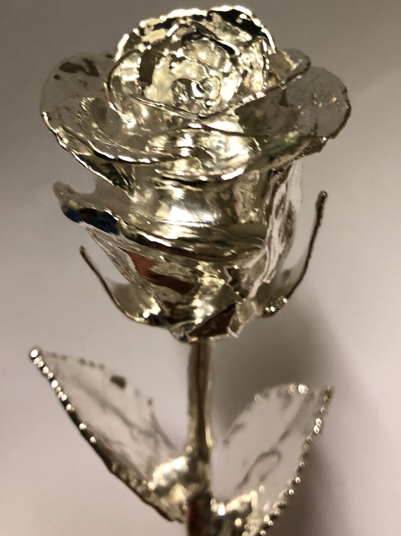 100% Real Rose, Silver Dipped, 7, 25th Anniversary, Birthday, Weddiing ...