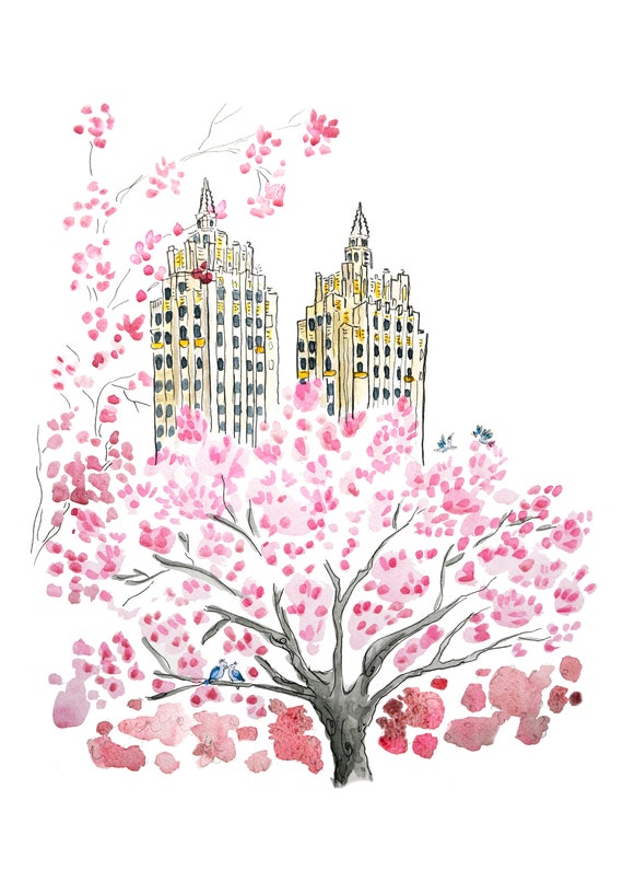 Cherry Blossom Drawing Tumblr