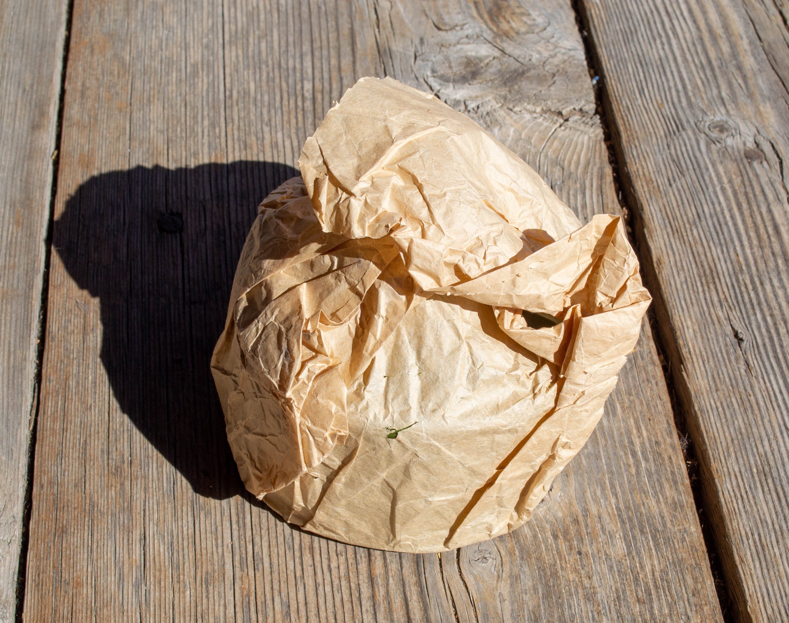 GP-7 Soviet Gas Mask Filter Carbon 40 Mm NEW Military Gas - Etsy