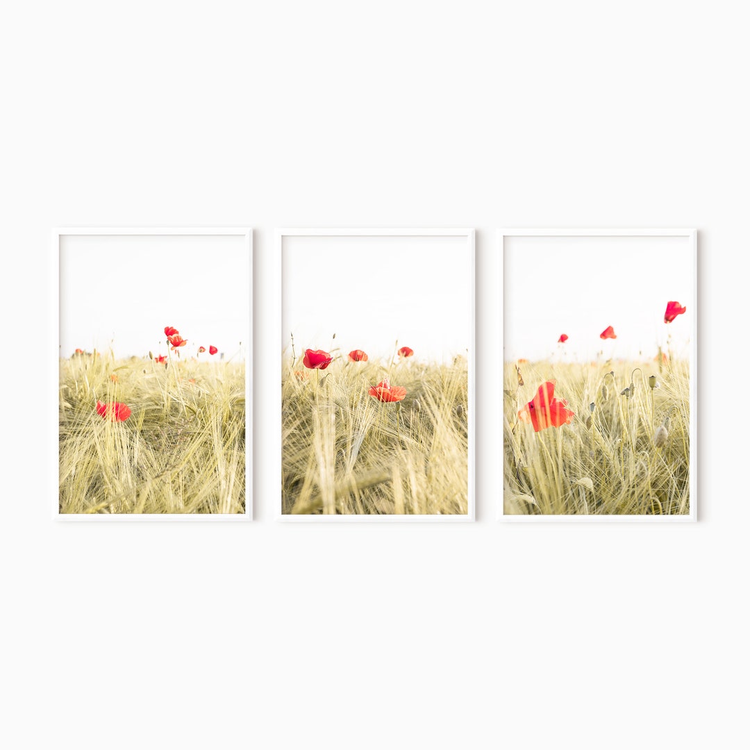 Poppy Print Set of 3 | Flower Print | Printable Art | Instant Download ...