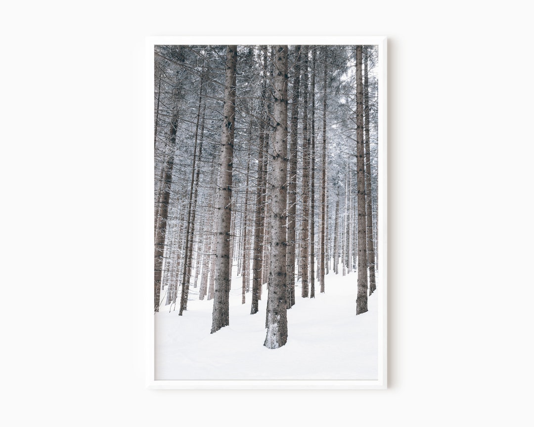 Snowy Forest Wall Art | Printable Winter Pine Tree Print DOWNLOAD #0916 ...