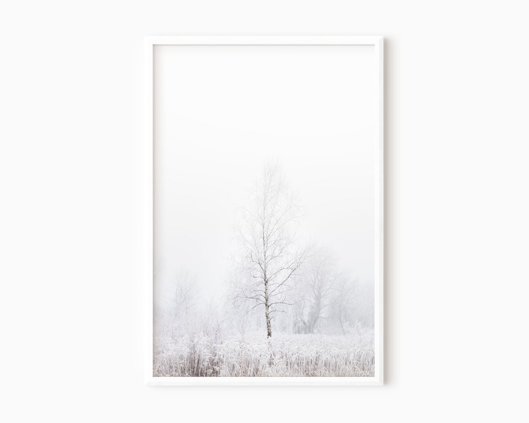 Birch Tree Print | Printable Forest Wall Art Photography | White Home ...