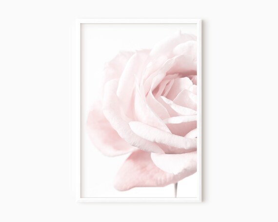 Pink Rose Print Printable Flower Art Soft Pink Rose | Etsy