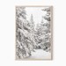 Snowy Pine Trees Wall Art | Printable Winter Forest Print DOWNLOAD ...