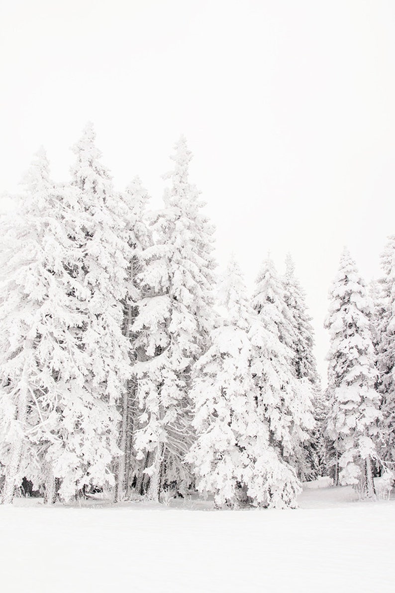 Winter Snowy Trees Poster Set Of 3 Winter Prints Ski Print | Etsy