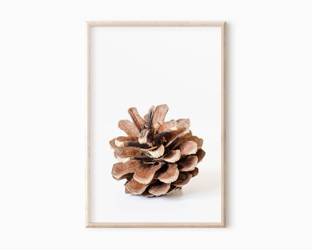 Pine Cone Art Print | Printable Forest Poster DOWNLOAD #0631 - Etsy