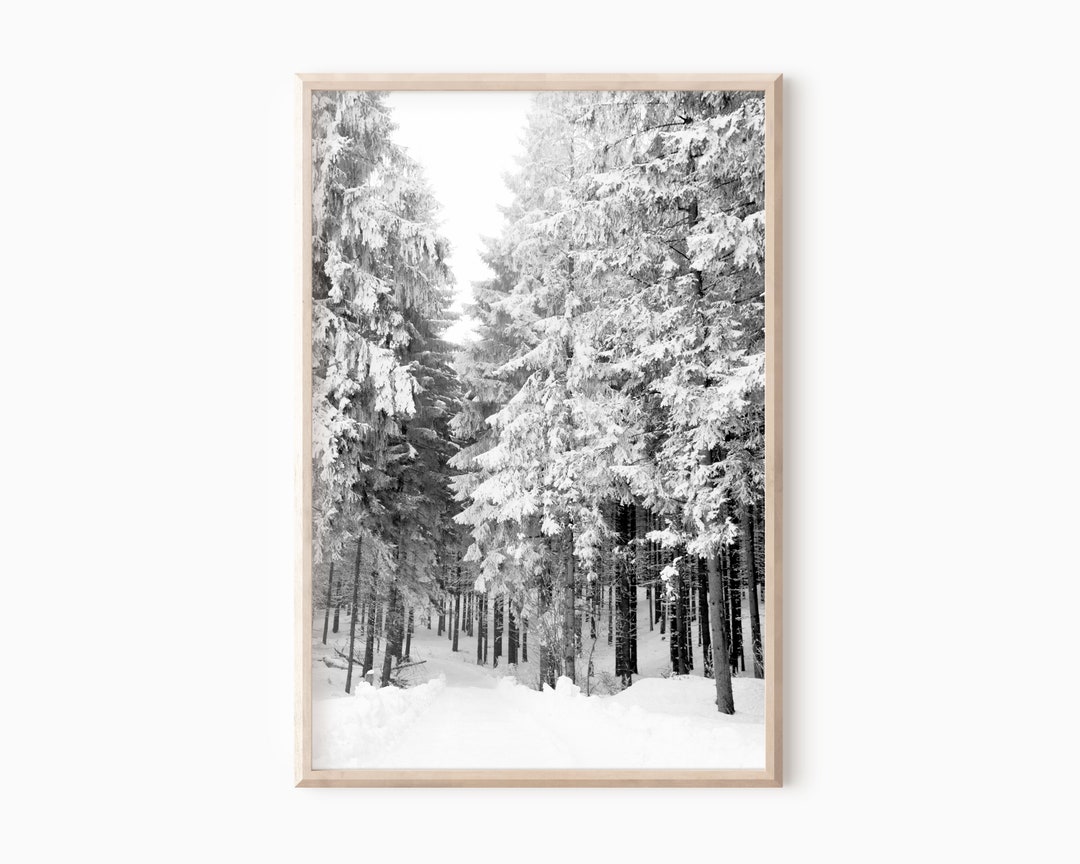Snowy Forest Print | Printable Winter Wall Art | Pine Tree Forest ...