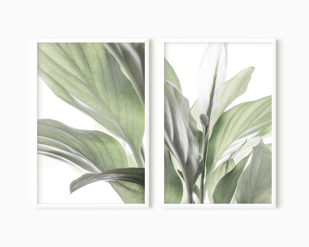 Botanical Print Set | Printable Leaf Set of 2 Art Prints | Instant ...
