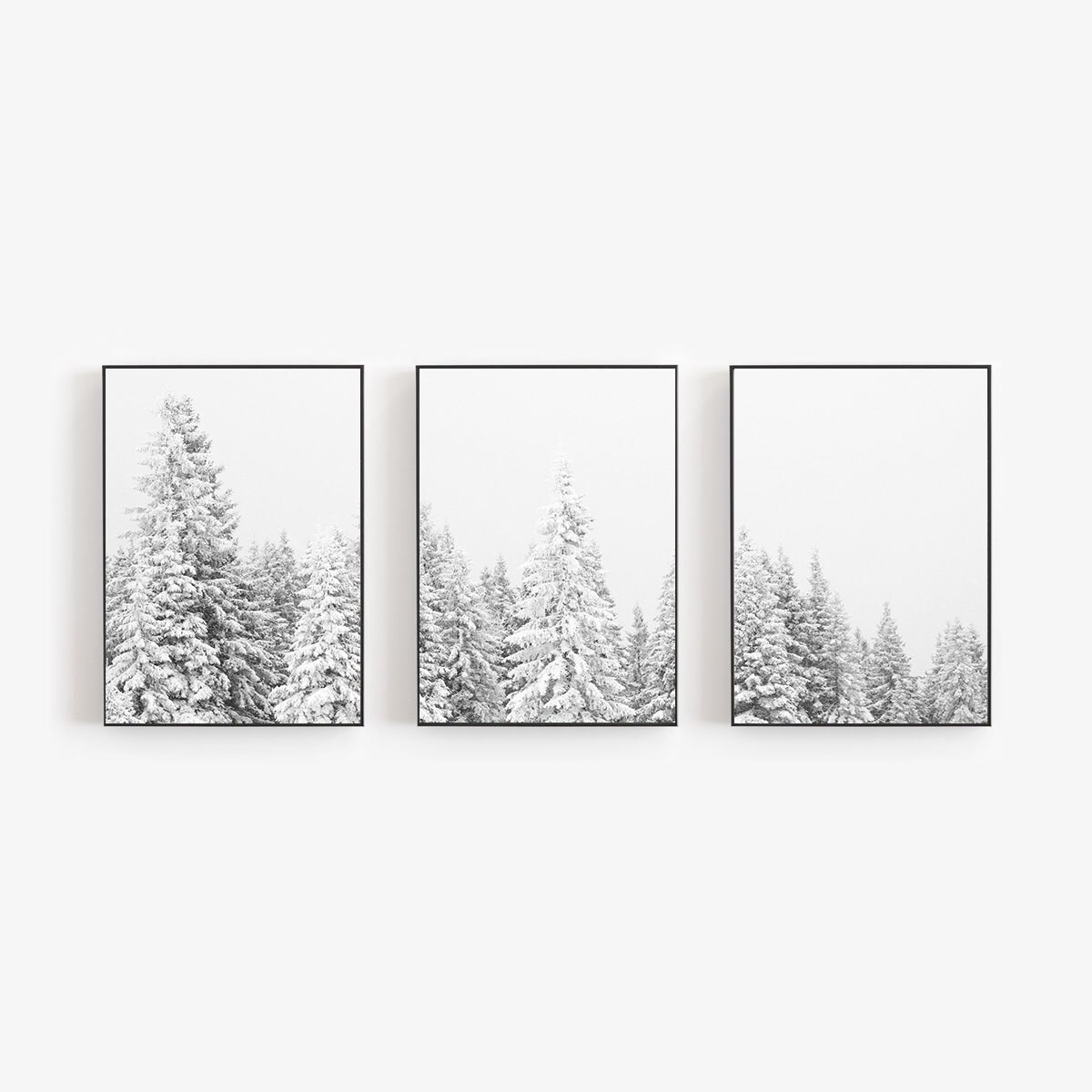 Snowy Pine Trees Set Of 3 Prints Winter Photography Nordic | Etsy