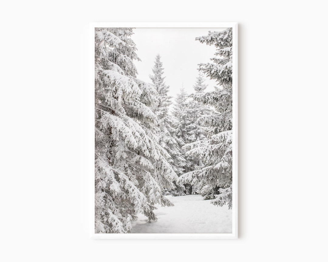 Snowy Pine Trees Wall Art | Printable Winter Forest Print DOWNLOAD ...