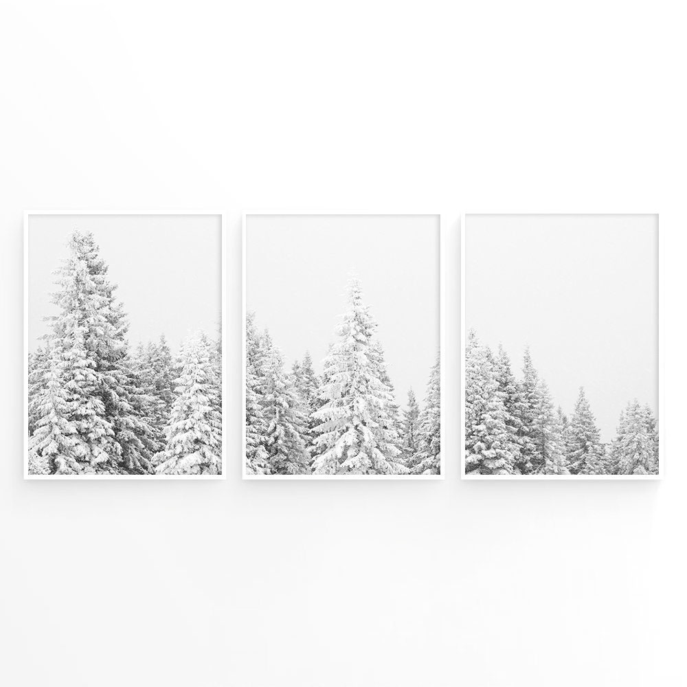 Snowy Pine Trees Set Of 3 Prints Winter Photography Nordic | Etsy