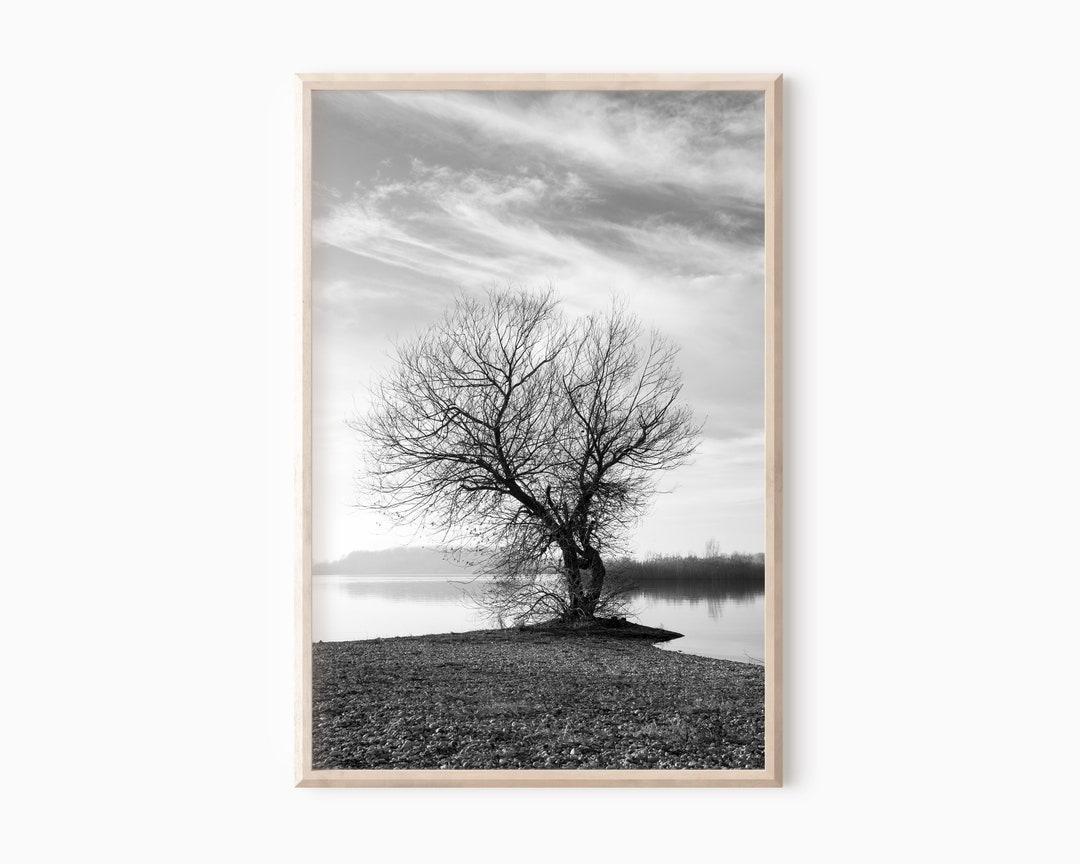 Black and White Tree Print | Lake Landscape Printable Art #0045bw - Etsy