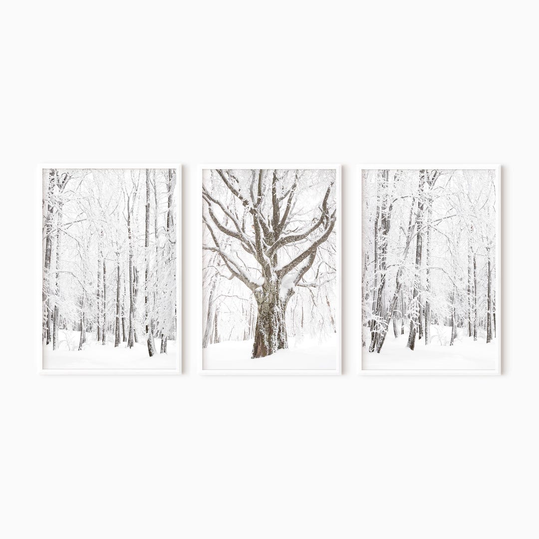 Winter Forest Set of 3 Prints DOWNLOAD | Snowy Landscape | Winter Tree ...