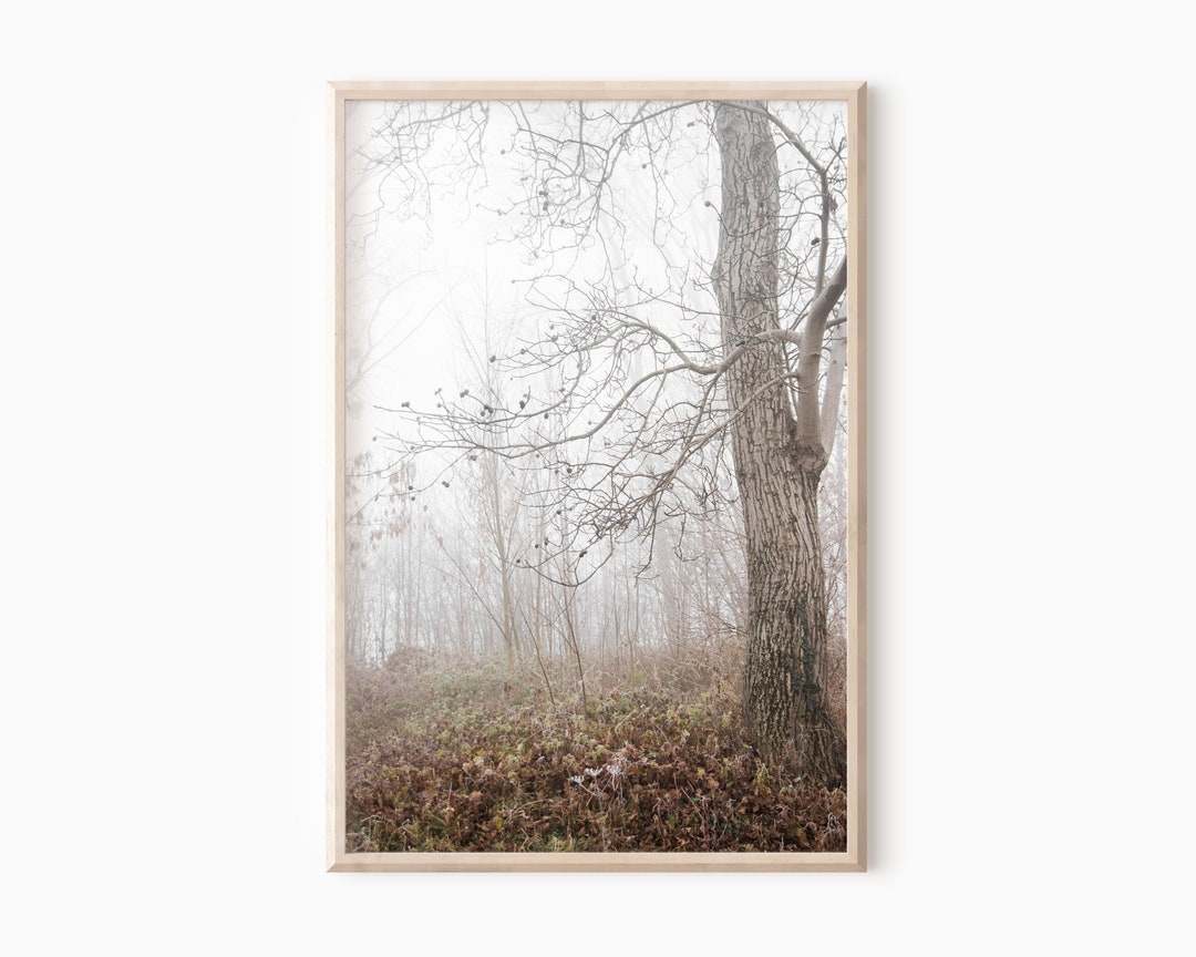 Forest Tree Print Printable Digital Nature Art Oak Photography Instant ...