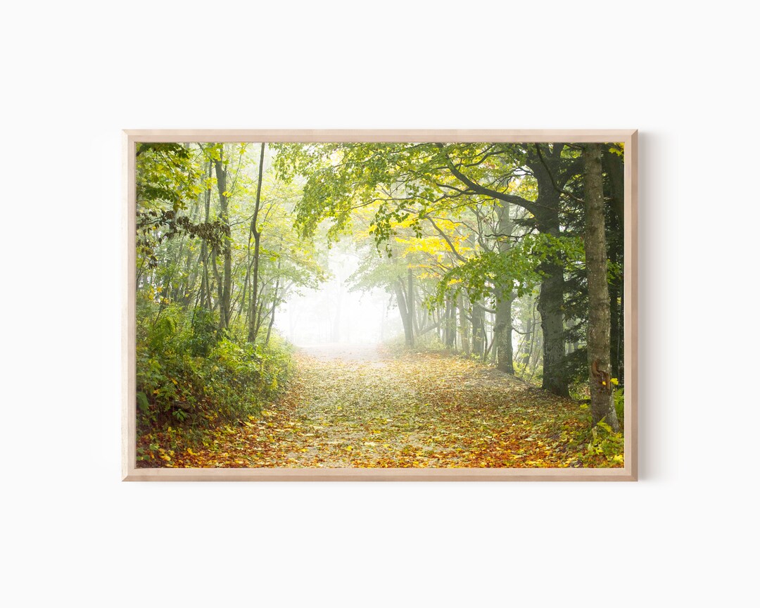 Autumn Forest Print Printable Forest Art Autumn - Etsy