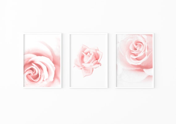 Pink Rose Print Set Of 3 Downloadable Art Rose Picture | Etsy