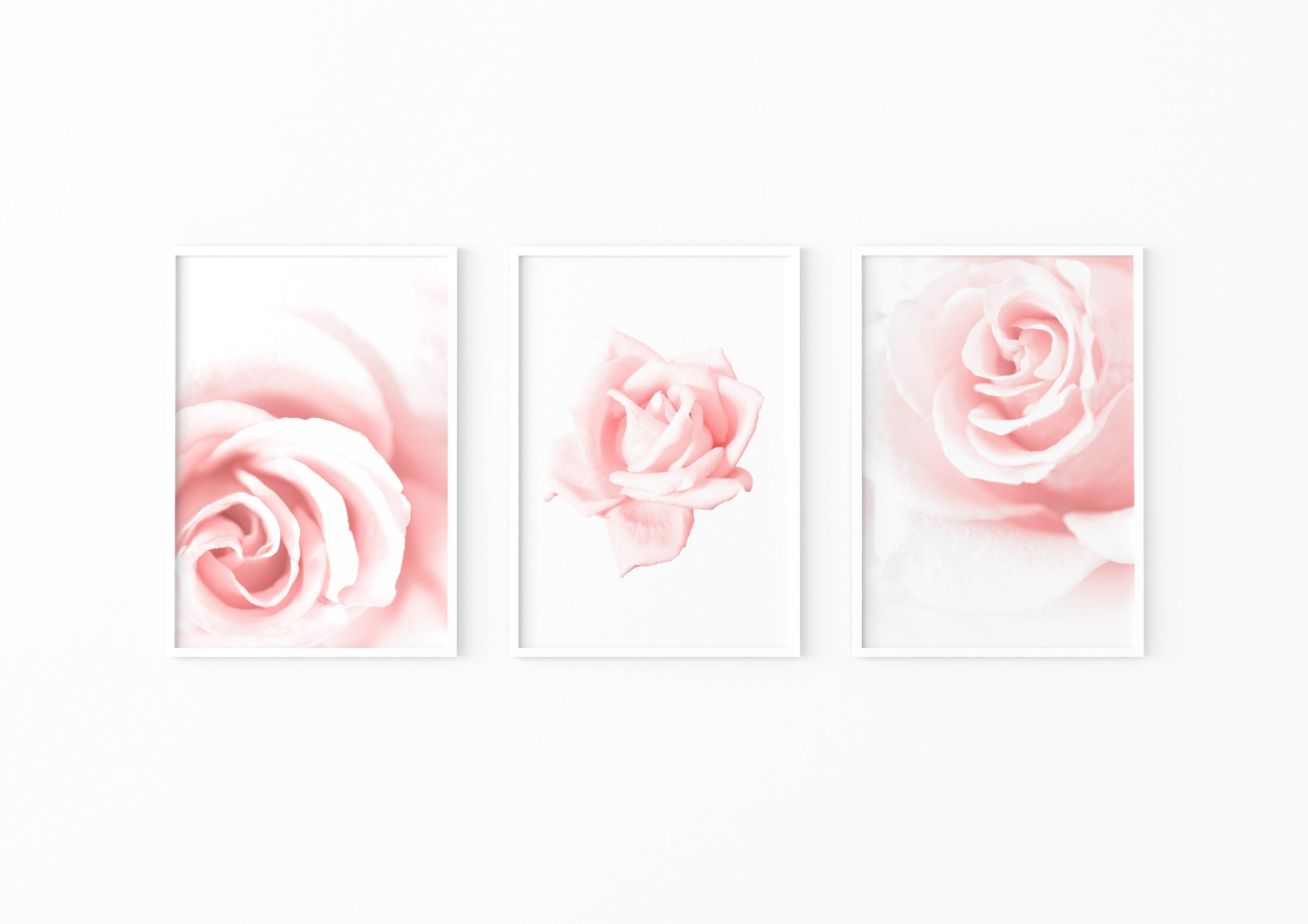 Pink Rose Print Set Of 3 Downloadable Art Rose Picture | Etsy