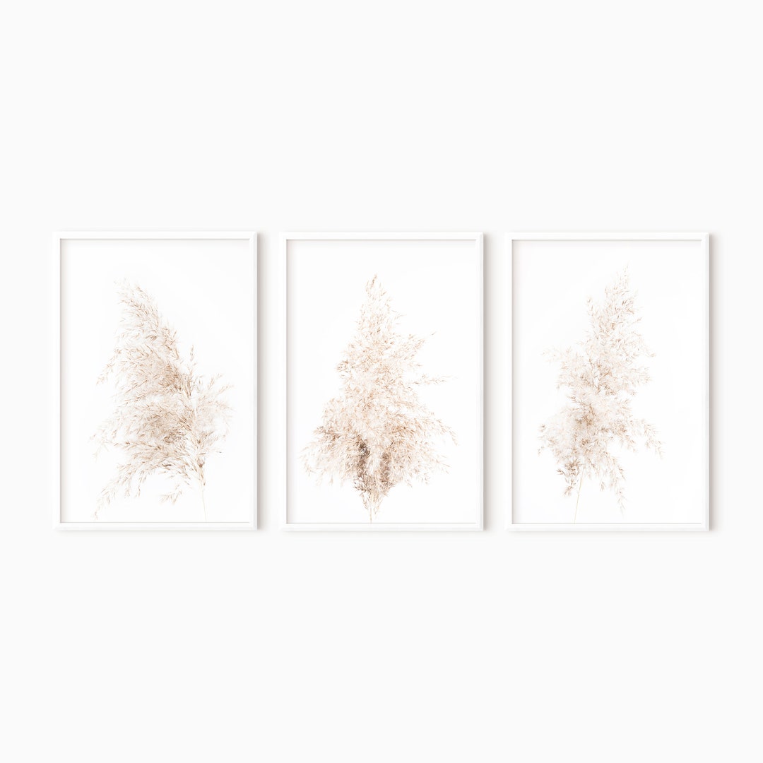 3 Piece Pampas Grass Wall Art | Printable Botanical Print Sets | Instant Download #1036 - Etsy