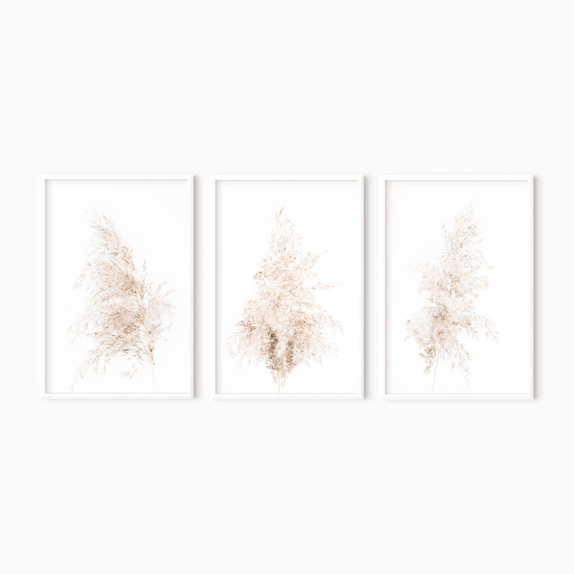 3 Piece Pampas Grass Wall Art | Printable Botanical Print Sets ...