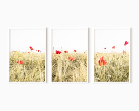 Poppy Print Set of 3 Flower Print Printable Art Instant - Etsy