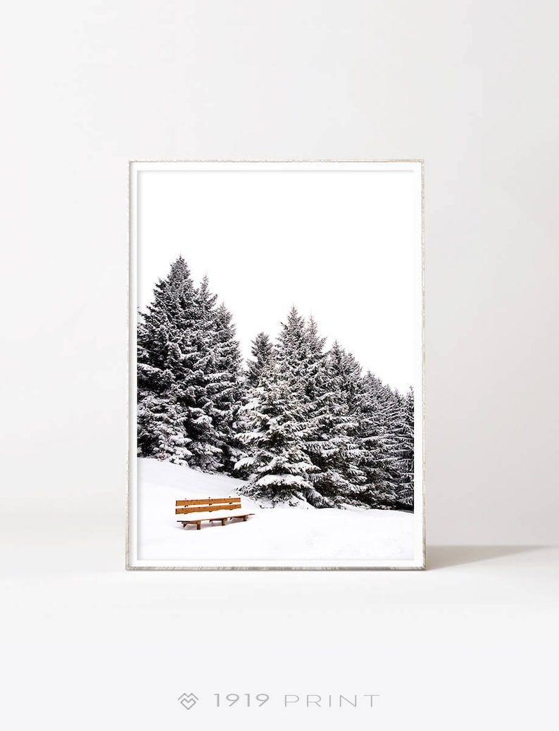 Pine Tree Forest Wall Art Prints Printable Forest Photography | Etsy