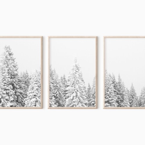 Snowy Pine Trees Set of 3 Prints Winter Photography Nordic | Etsy