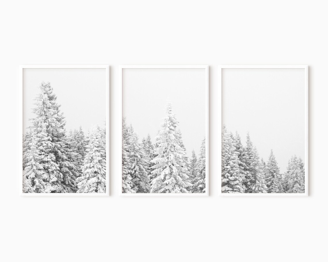 Snowy Pine Trees Set of 3 Prints Winter Photography Nordic - Etsy