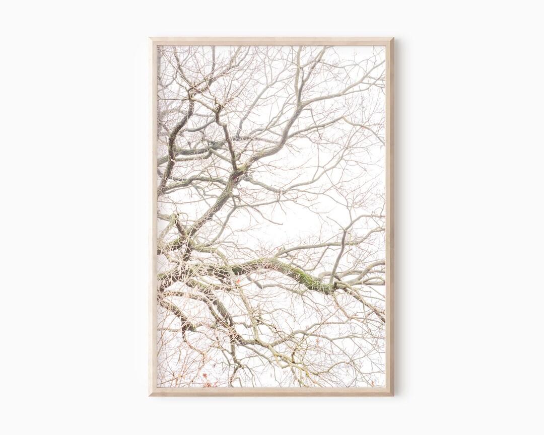 Tree Branches Art Printable Tree Wall Art 0518 - Etsy