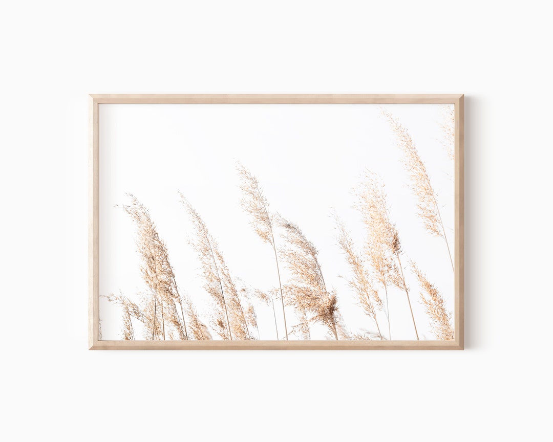 Farmhouse Digital Grass Photography Print | Beige Home Decor ...