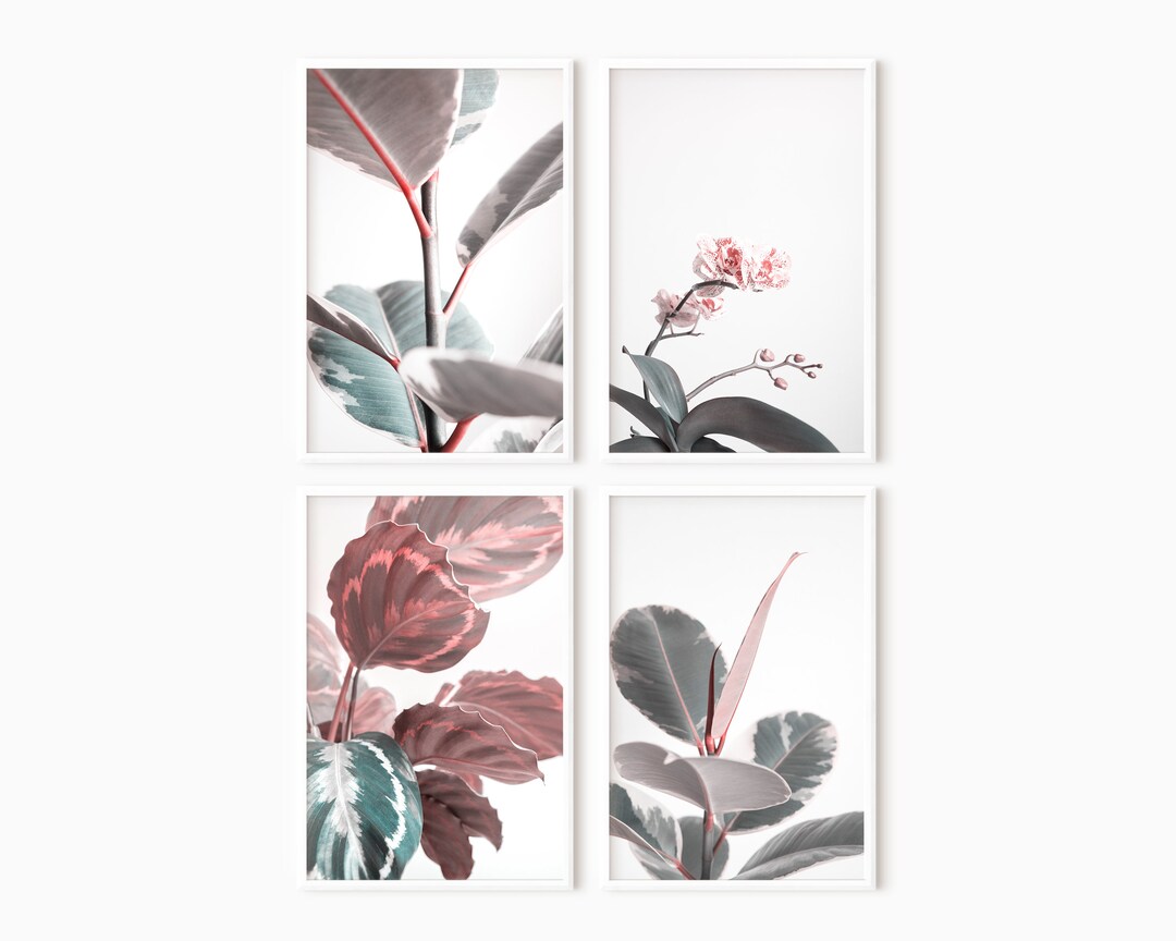 Set of 4 Plant Prints | Printable Botanical Wall Art #0534 - Etsy