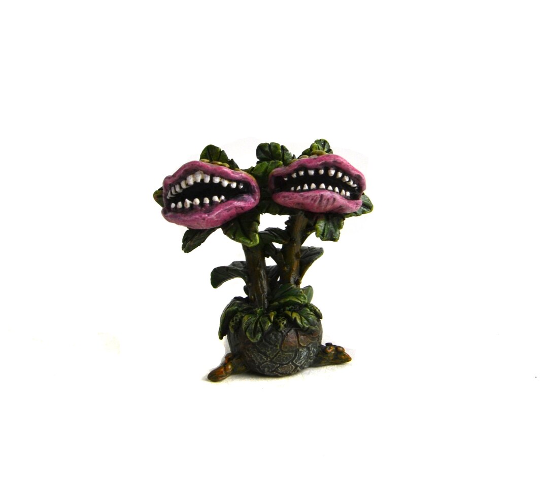 Mini Venus Flytrap - Etsy