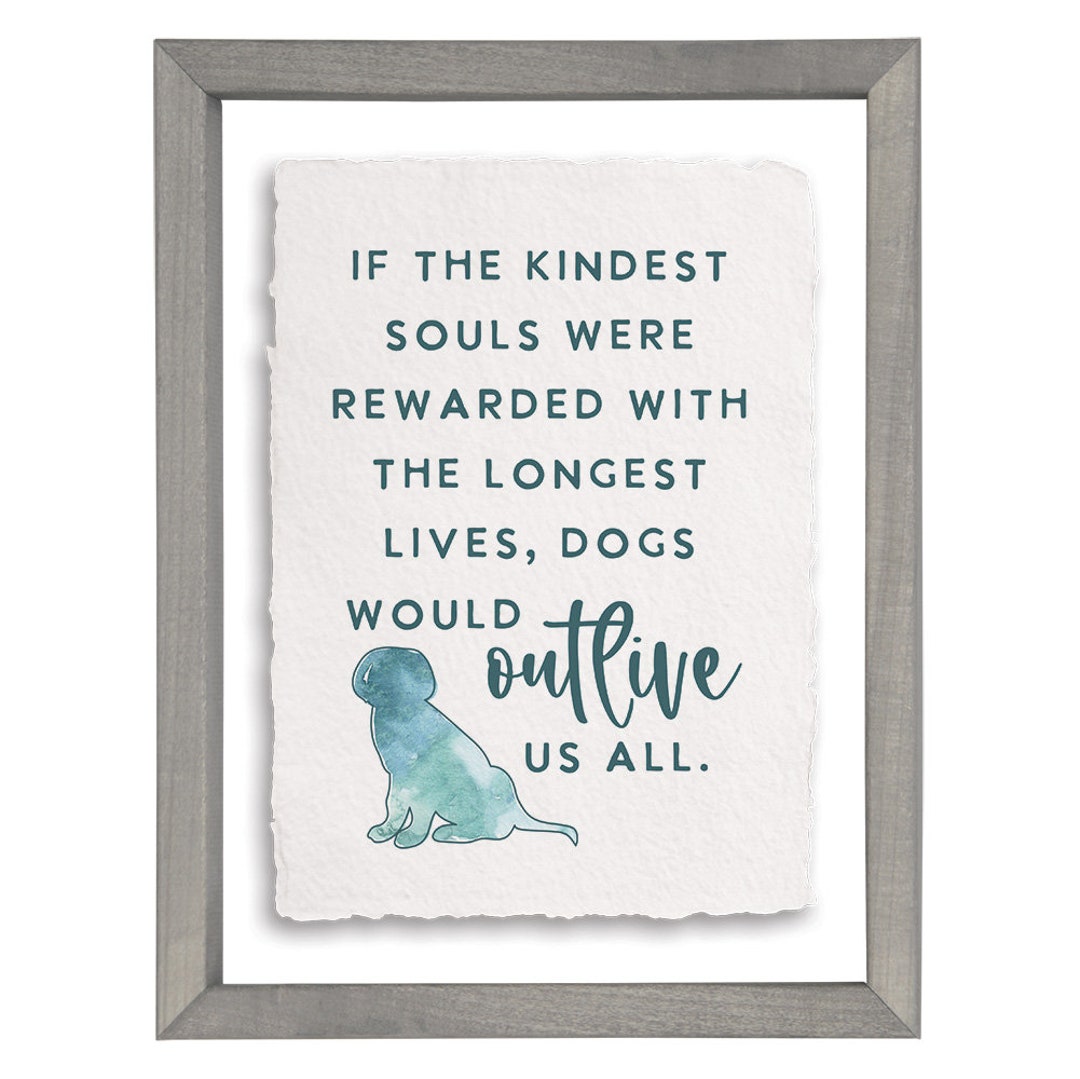 If the Kindest Souls Were Rewarded With the Longest Lives, Dogs Would ...