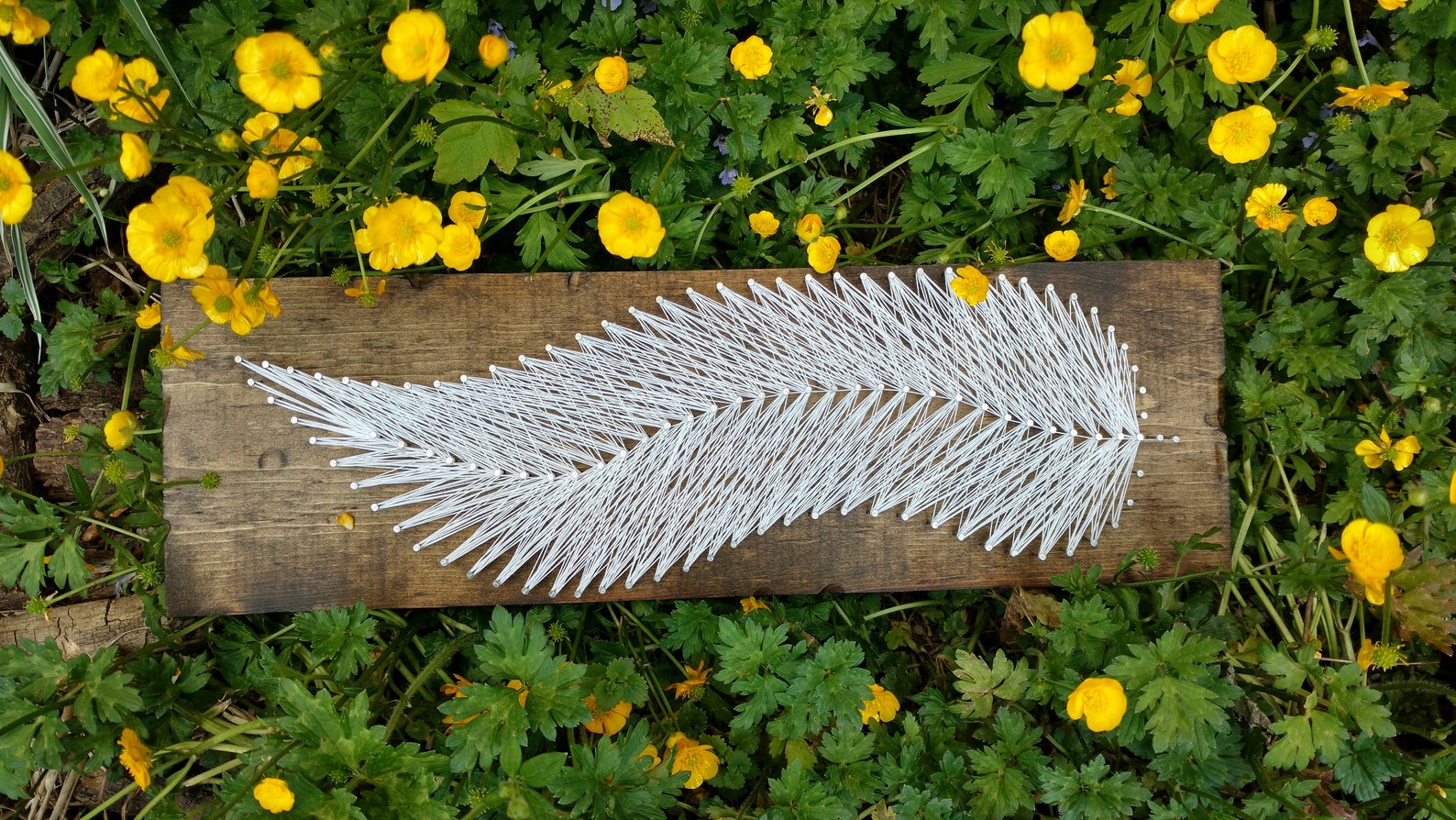 Feather String Art - Etsy