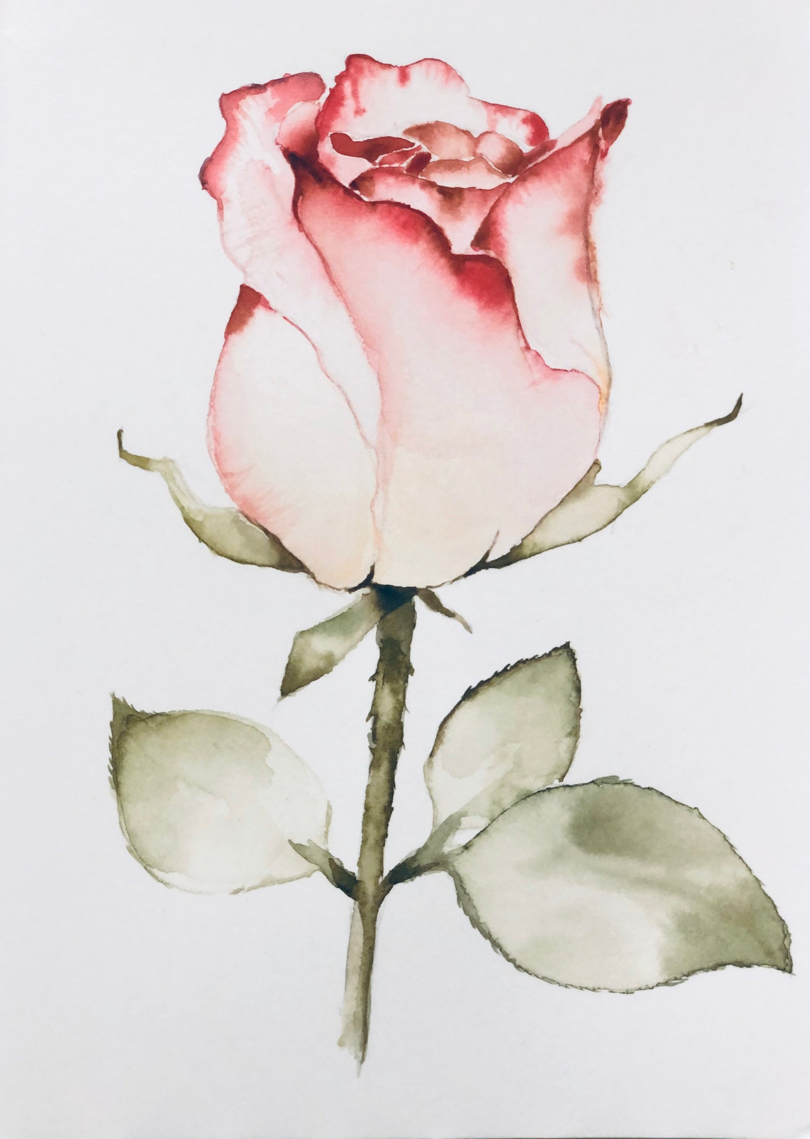 Watercolor Red Rose Handmade Original Art Piece Watercolor on - Etsy ...
