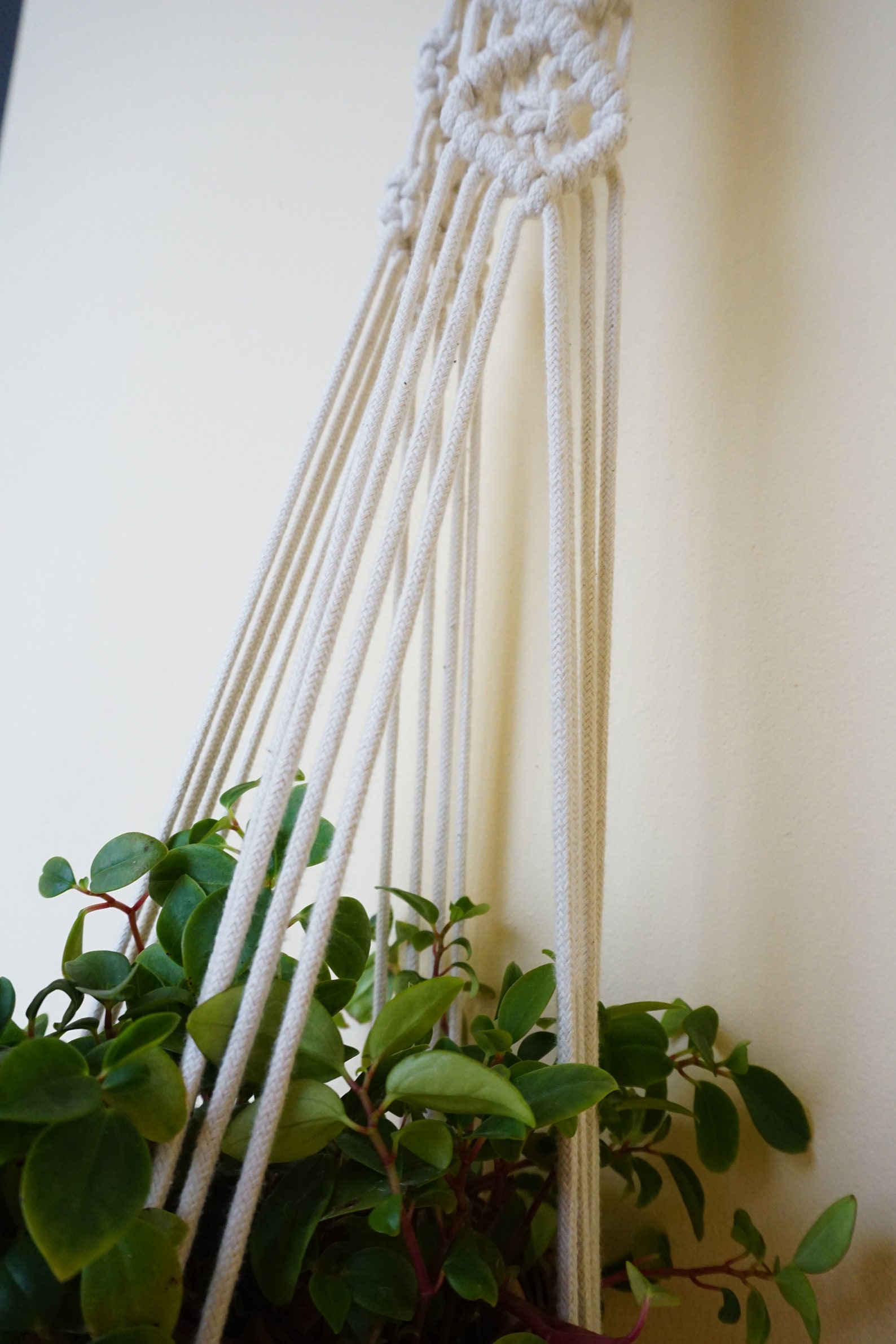 Outdoor Decor Macrame Flower Hanger Modern Macrame Bowl | Etsy