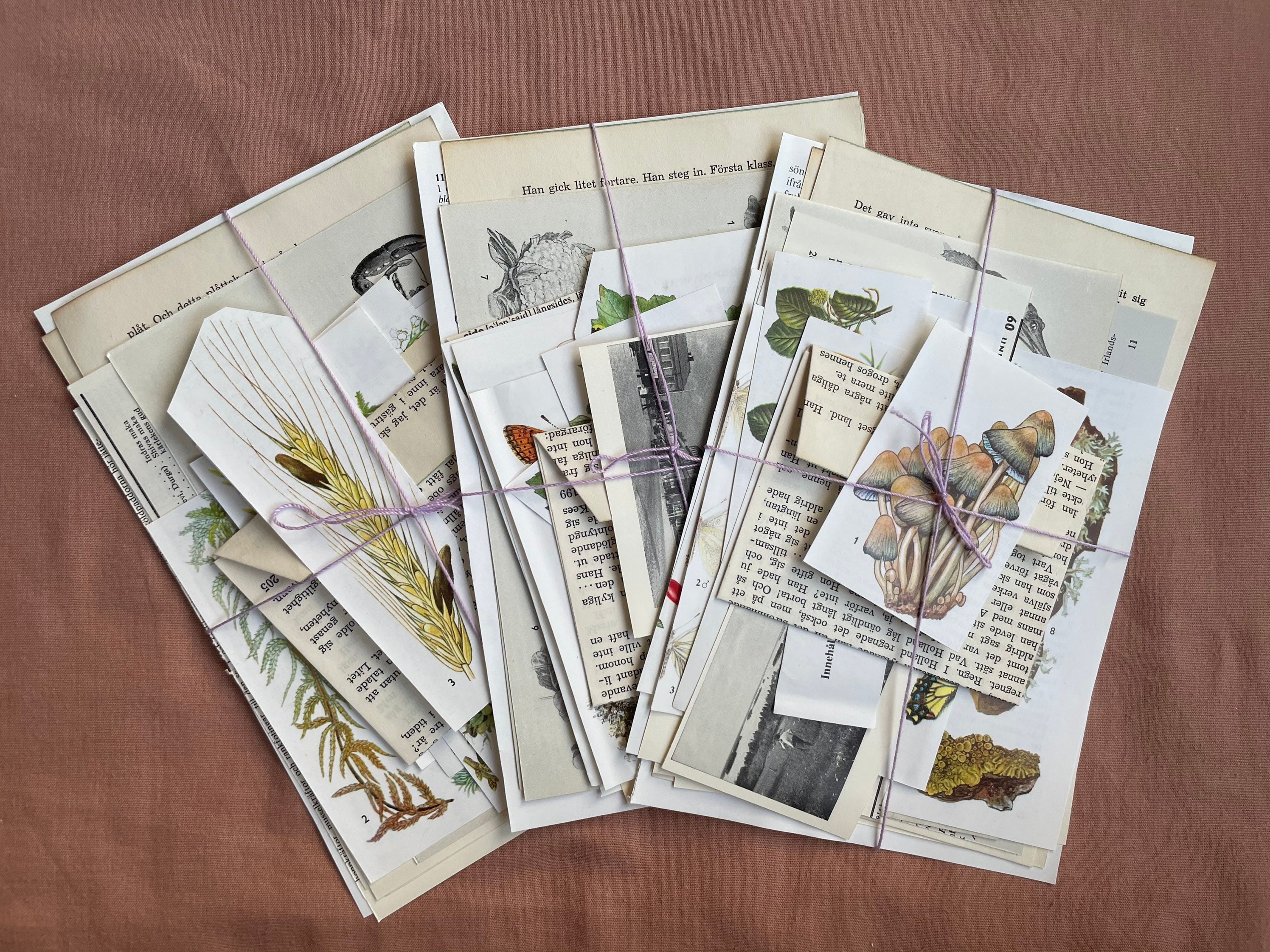 Paper, Party & Kids Botanical Paper Ephemera Pack Materials etna.com.pe