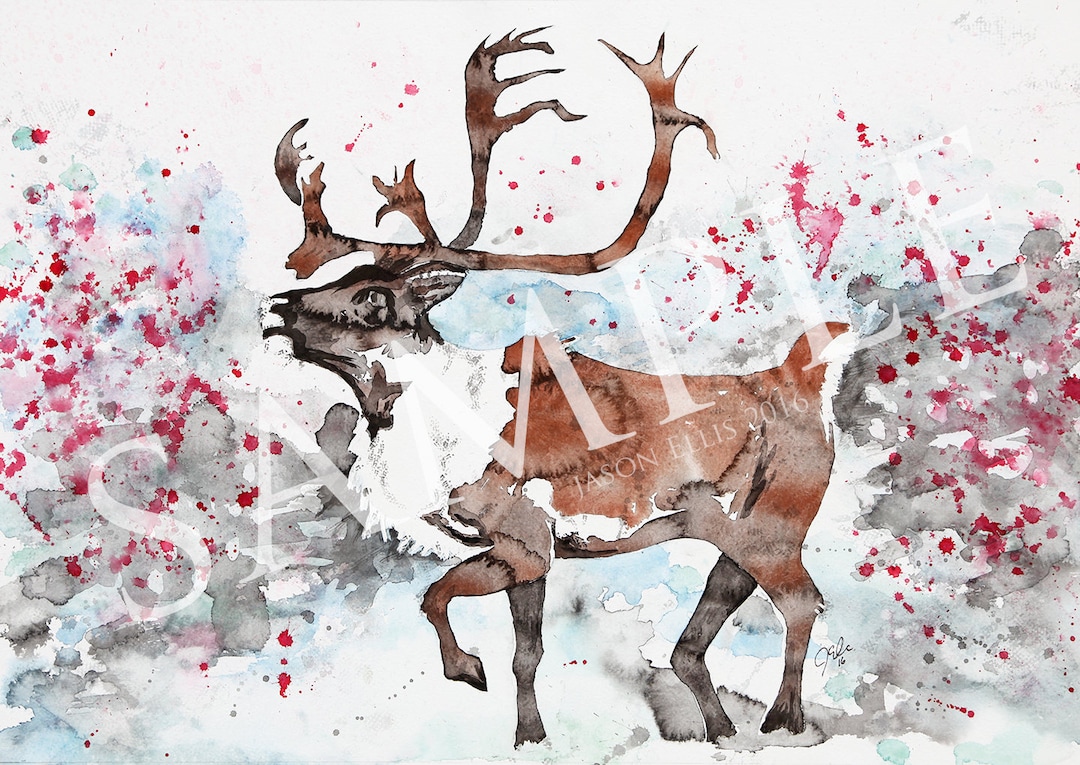 Caribou Water Color Print - Etsy