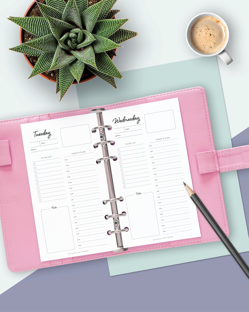 DAILY PLAN, Undated Daily Planner, Daily Diary, Printable Planner, 366 ...