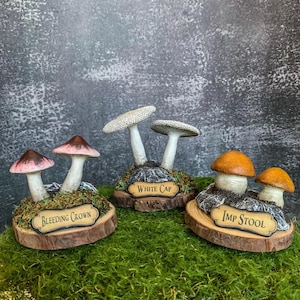 Handmade Elder Scrolls: Skyrim Themed Clay Mushroom Ingredient ...