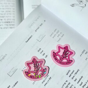 Pink IDF Sticker | Israel Defense Forces | Support Women - Etsy