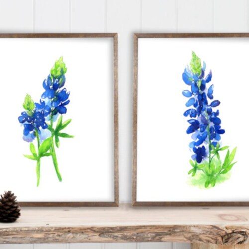 Bluebonnets Art Print Set of 3 Watercolor Painting by Cheryl - Etsy