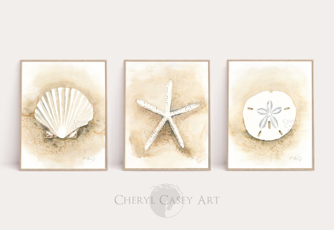 Seashell Art Decor Set of 3, Coastal Wall Art Set, Neutral Beach Prints ...