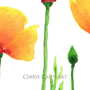 California Poppies Art, Minimalist Orange Flowers From Watercolor by ...