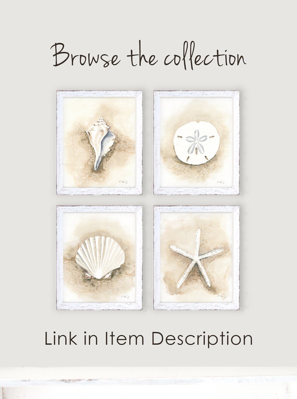 Sand Dollar Art Print, Coastal Wall Art, Neutral Beach Print From ...