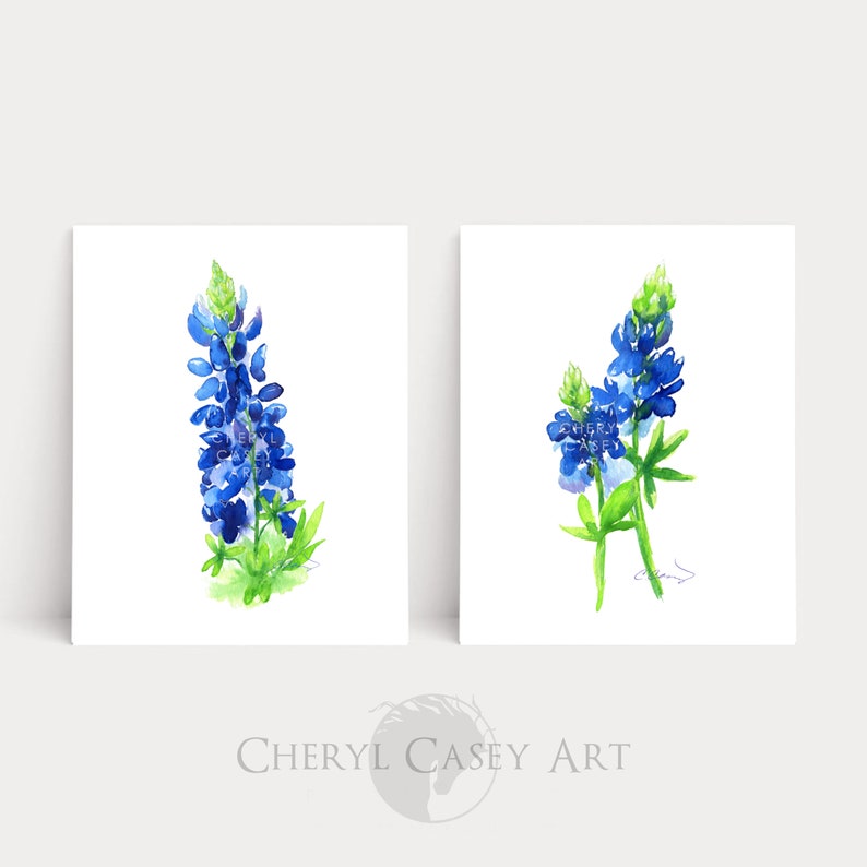 Bluebonnet Art Print, Set of 2, From Watercolor Bluebonnet Paintings by ...